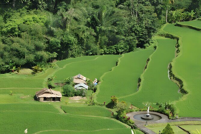 Bali Full-Day Car Charter: Beauty of North Bali Tour - Who Should Consider This Tour?