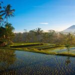 Bali Full Day Photography Tour - What to Expect During the Tour