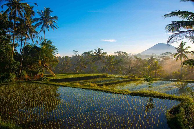 Bali Full Day Photography Tour - What to Expect During the Tour