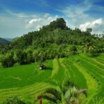 Bali Full Day-Tour: Besakih Temple Tour - Transportation, Timing & Practical Considerations