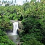 Bali Full Day Tour  Ubud and Tanah Lot Temple Tour - Why This Tour Works for You