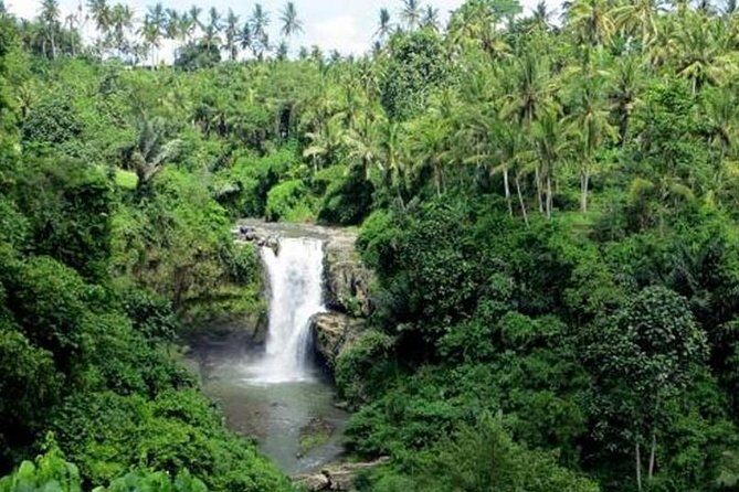 Bali Full Day Tour  Ubud and Tanah Lot Temple Tour - Why This Tour Works for You