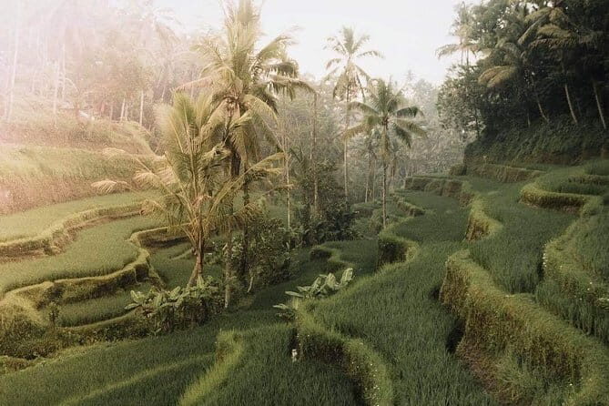 Bali : Full Day Traditional Village & Sightseeing - Who Is This Tour Best For?