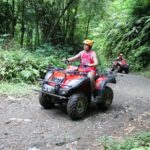 Bali : Half Day Quad Bike Tour with Lunch - Authentic Guidance and Scenic Vistas