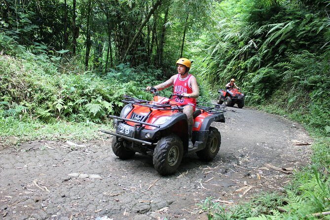 Bali : Half Day Quad Bike Tour with Lunch - Authentic Guidance and Scenic Vistas