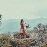 Bali Handara Gate and Wanagiri Hidden Hill with Banyumala Waterfall - Practical Tips and Considerations