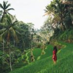 Bali Highlights : Nature, Waterfall, Rice Terraces and Volcano - An Overview of the Tour