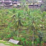 Bali Hindu temple, Rice terrace, Waterfall -All Inclusive - Who Should Consider This Tour?