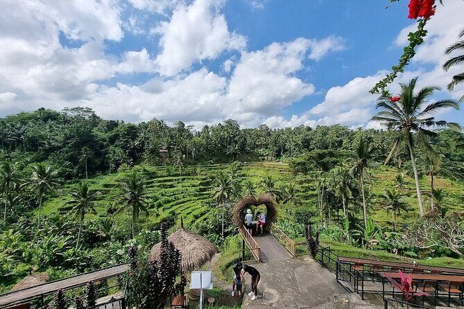 Bali Holy Bathing Ritual and Ubud Highlights tour - What to Expect and Practical Tips