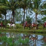 Bali Horse Riding on the Ricefields & Beach - Frequently Asked Questions