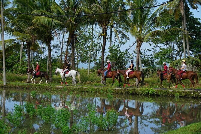 Bali Horse Riding on the Ricefields & Beach - Frequently Asked Questions