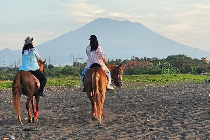 Bali Horse Riding + Waterfall + Rice Terrace + Lunch - Authenticity and Value: What Travelers Say