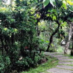 Bali in 1-Day : Rice Terrace, Volcano, Tanah lot - All Inclusive - Who Would Love This Tour?