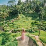 Bali Instagram Tour [Private and All-Inclusive] - Who Will Love This Tour?