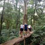 Bali Jungle Escapade: Rainforest and Waterfall Trekking - Who Will Love This Tour?