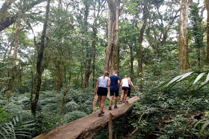 Bali Jungle Escapade: Rainforest and Waterfall Trekking - Who Will Love This Tour?