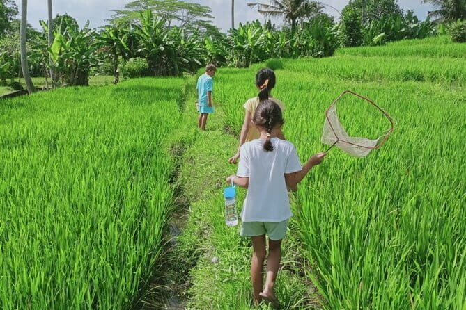 Bali Kaura Children's Adventure Activities with Private Transfer - Is the Price Worth It?