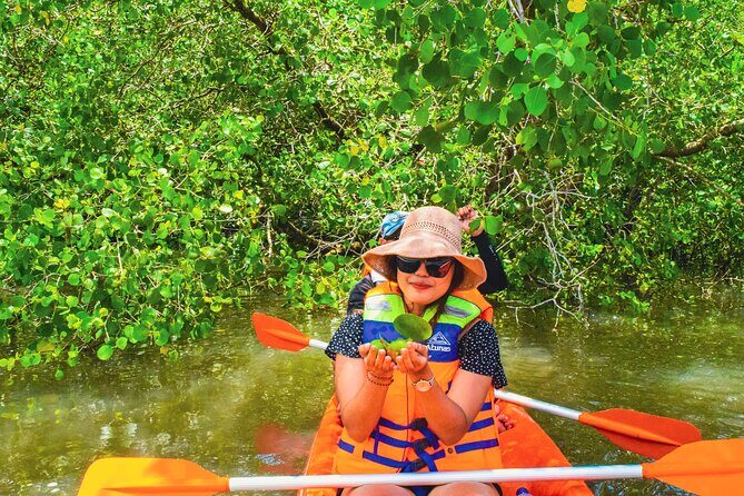 Bali Mangrove Canoeing Tour - The Practicalities and What They Mean for You