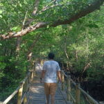 Bali Mangrove Forest Canoeing, Uluwatu Temple and Kecak Dance - Who Should Consider This Tour?