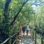 Bali: Mangrove Kayaking, GWK Park, Uluwatu Kecak fire Dance - Uluwatu Temple and Its Cliffside Views