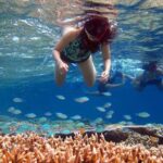Bali Menjangan Island Snorkeling Day Tour - Why This Tour Is Worth Considering