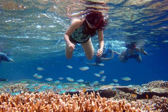 Bali Menjangan Island Snorkeling Day Tour - Why This Tour Is Worth Considering