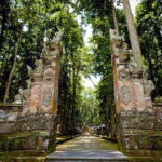 Bali: Monkey Forest, Rice Terrace and Ubud Market Guided Tour - Authentic Experiences and Hidden Gems
