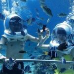 Bali Ocean Walker - Authentic Insights from Reviews