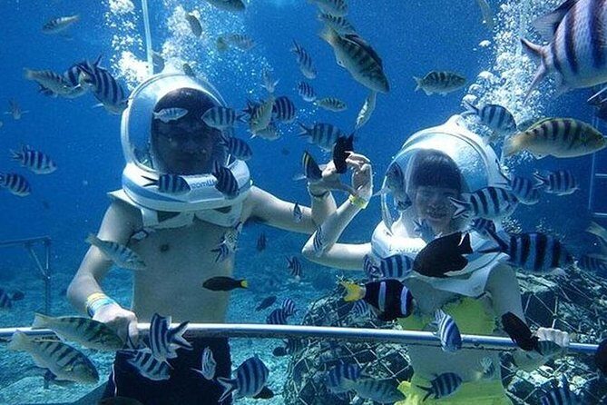 Bali Ocean Walker - Authentic Insights from Reviews