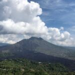 Bali Private Car Charter With English Speaking Driver To Ubud Area - Who Should Book This Tour?