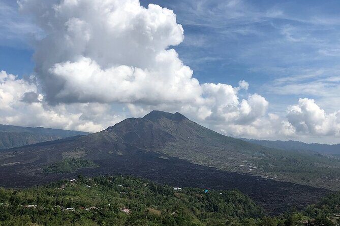 Bali Private Car Charter With English Speaking Driver To Ubud Area - Who Should Book This Tour?