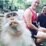 Bali Private Custom Tour - Bali Car Hire with Driver - A Detailed Look at the Itinerary