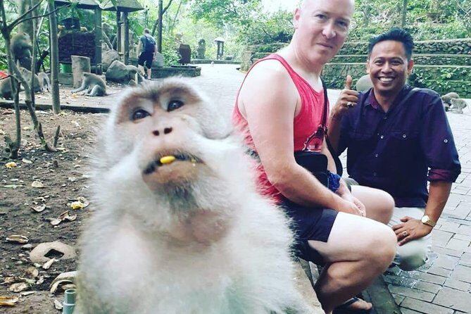 Bali Private Custom Tour - Bali Car Hire with Driver - A Detailed Look at the Itinerary