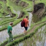 Bali Private Driver and Car for Customize Tours - Authenticity and Value