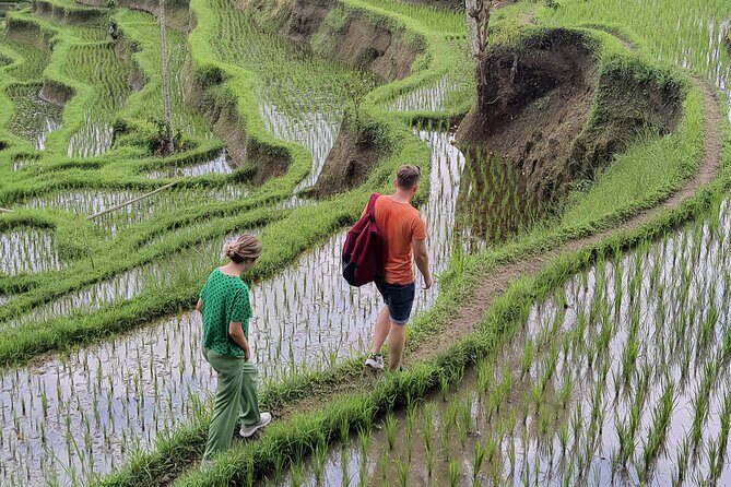 Bali Private Driver and Car for Customize Tours - Authenticity and Value