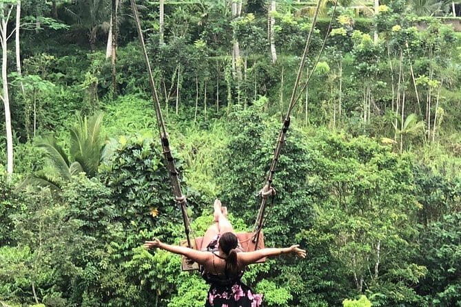 Bali Private Hired Car with Private Driver - Deep Dive into the Itinerary Options