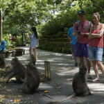 Bali Private Tour Waterfall with Tanah Lot Temple - Why This Tour Delivers Value