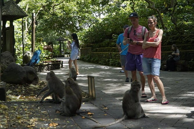 Bali Private Tour Waterfall with Tanah Lot Temple - Why This Tour Delivers Value