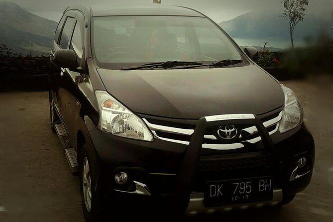 Bali Private Transfer: Round Trip Ngurah Rai Airport-Ubud Area - Final Thoughts on Value and Experience