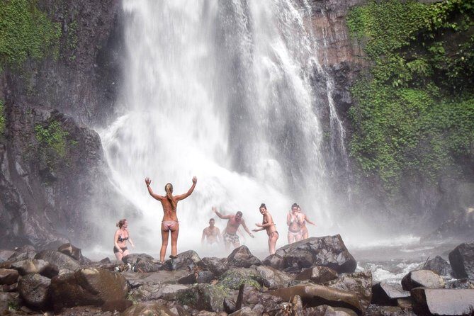 Bali Private UNESCO Heritage Sites Trip - The Transport and Guide Experience