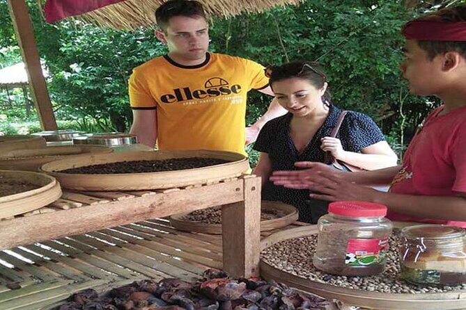 Bali Rafting Ayung River with Kintamani Tour - All Inclusive - Authenticity and Traveler Feedback