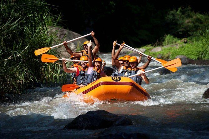 Bali Rafting, Ubud, and Jimbaran Day Tour - Who Should Consider This Tour?