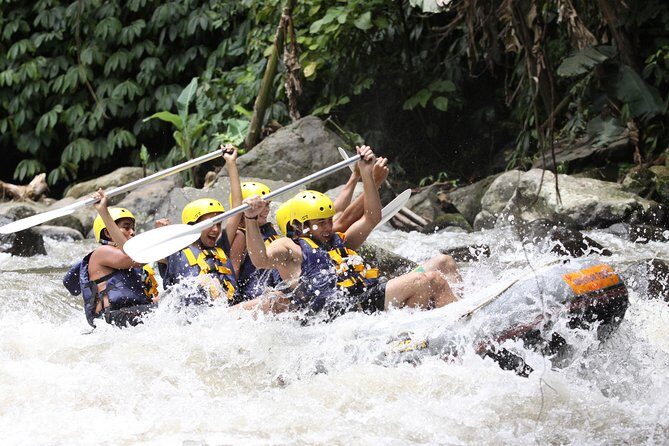 Bali Rafting Ubud with Lunch - Authentic Experiences Highlighted by Travelers