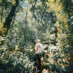 Bali Rainforest Hiking With Canoeing And Waterfall Adventure - Key Points