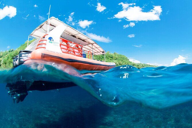 Bali Reef Cruise and Lembongan Island Day Trip - Transport and Logistics