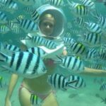 Bali Sea Walker - Who Will Love the Bali Sea Walker?