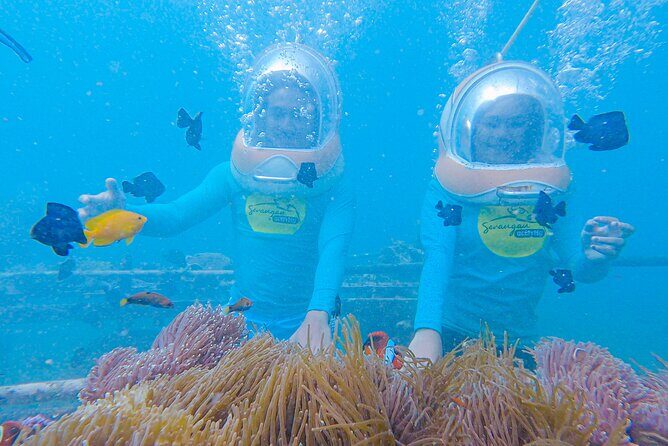 Bali Sea Walker Adventure in Tanjung Benoa - The Practical Side: Transportation, Pricing, and Booking