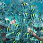 Bali Sea Walker Water Sport Nusadua - Detailed Breakdown of the Itinerary