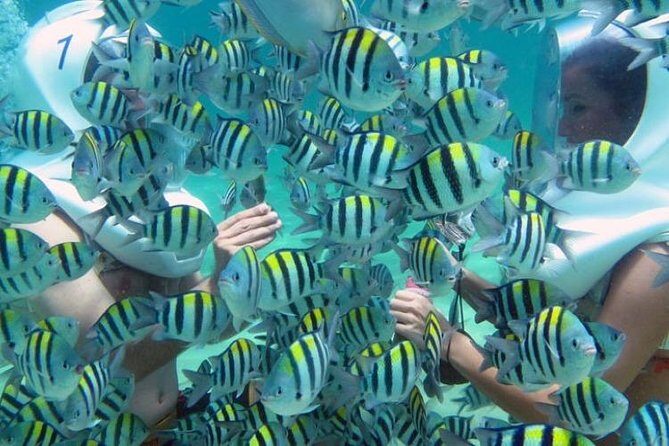 Bali Sea Walker Water Sport Nusadua - Detailed Breakdown of the Itinerary