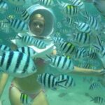 Bali Sea Walking Experience - Additional Tour Options: Extending Your Bali Adventure